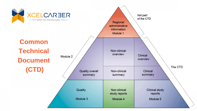 Regulatory Affairs - XCELCAREER